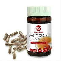 China 100% Natural Reishi Mushroom Capsule Shell Broken Spore Powder Capsule for sale