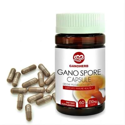 China 100% Natural Reishi Mushroom Capsule Shell Broken Spore Powder Capsule for sale