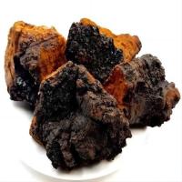 China Dark Colored Mushroom Raw Material Chaga Extract Powder For Kinds Of Ailments for sale