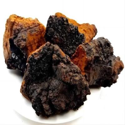 China Dark Colored Mushroom Raw Material Chaga Extract Powder For Kinds Of Ailments for sale