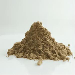 China 100% Pure Coriolus Mushroom Powder Brown Polypore Mushroom Without Carrier for sale