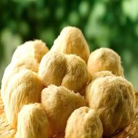 China Hericium Erinaceus Mushroom Raw Material Lion'S Mane Powder For Improving Memory for sale