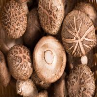 China Food Grade Mushroom Raw Material Shiitake Mushroom Powder For Heart Health for sale