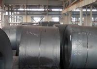 China Hot Roll Steel Coil St37 Standard Sizes Carbon Steel Galvanized Ms Sg295 for sale