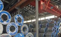 China Q235 mild steel plate rolls thick cold rolled steel sheet Carbon Steel Plate for sale