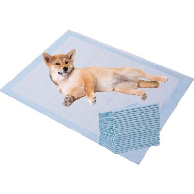 China Customizable Degradable Pet Training Pads 45×33 cm to 60×90 cm with Super Absorbent Core for Dogs and Cats for sale