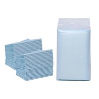 China Custom Color Pet Training Pads 5-Layer Super Absorbent 45-90cm Sizes for Dogs Cats Puppy Housebreaking for sale