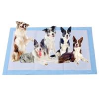 China Disposable Puppy Training Mats 45x60cm 60x90cm Rapid Absorption Pet Pee Pads with Custom Logo Options for sale