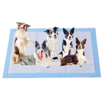 China Disposable Puppy Training Mats 45x60cm 60x90cm Rapid Absorption Pet Pee Pads with Custom Logo Options for sale