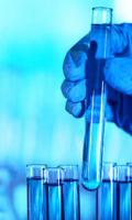China Certification for European Chemicals Agency s New SVHC Intention Substance 2025 Update for sale