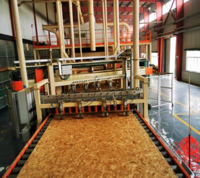 China Date Palm OSB Particle Board Making Machine Production Line for sale