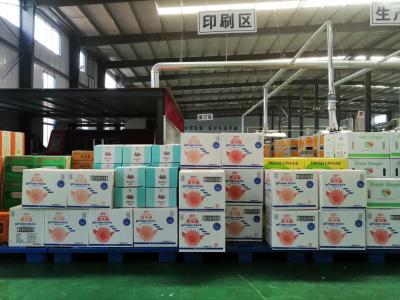 China Corrugated Paper Packing Box From Stone Paper for sale
