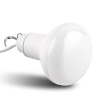 China USB LED Replacement Light Bulbs 3000K - 6500K USB LED Bright Bulbs for sale