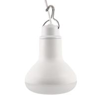 China USB LED Replacement Light Bulbs 3000K - 6500K USB LED Bright Bulbs for sale