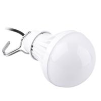 China 1000LM Small LED Camping Light Bulb USB Interface Dimmable Illuminating for sale