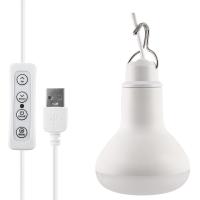 China Color Warm White USB LED Light Bulbs 3000k - 6500k Color Temperature for sale