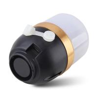 China Outdoor LED Bulb Pathway Lights Replacement Bulbs 5V 2000mA Battery for sale