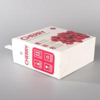 China Eco White Plastic Turnover Box PP Hollow Plastic Corrugated Box Fruit Gift Moving Carton for sale