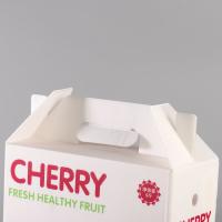 China Eco White Plastic Turnover Box PP Hollow Plastic Corrugated Box Fruit Gift Moving Carton for sale