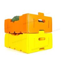 China Yellow Turnover Box PP Hollow Sheet Polypropylene Corrugated Board Storage Vegetable for sale