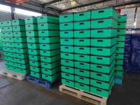 China 50kg Corrugated Plastic Moving Boxes Crates Hollow Sheet Turnover Box Plastic Crate Storage Boxes for sale