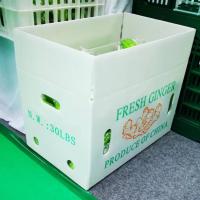 China Plastic Turnover Box PP Hollow Sheet Corrugated Board Packing Bin For Vegetable for sale