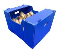 China Plastic Turnover Box PP Corrugated Sheet Hollow Fruits And Vegetables Moving Container for sale