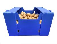 China Plastic Turnover Box PP Corrugated Sheet Hollow Fruits And Vegetables Moving Container for sale