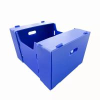 China Plastic Turnover Box PP Corrugated Sheet Hollow Fruits And Vegetables Moving Container for sale