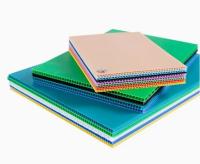 China Corrugated Plastic Honeycomb Panel PP Hollow Sheet Correx Corflute Board for sale