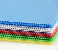 China Corrugated Plastic Honeycomb Panel PP Hollow Sheet Correx Corflute Board for sale