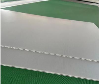 China Plastic Sheet PP Hollow Sheet Twin Wall Corrugated Core Fluted Advertisement Printing for sale
