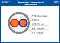 China 0.6/1KV 2c Low Voltage Unarmoured Power Cable (CU/PVC/XLPE/NYY/N2XY) Nominal Area :2*1.5~2*400mm2 for sale