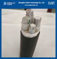 China AAC XLPE LSZH LV Underground Power Cable 1kv IEC60502-1 3x50+1x25mm2 for sale
