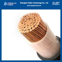 China 1kv N2XY Pvc Sheathed Copper Power Cable Xlpe Insulated 1x95mm2 IEC60502-1 for sale