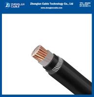 China Low Voltage Power Cable Aluminum Wire Armour CU/XLPE/PVC/AWA/PVC 0.6/1KV 1x300mm2 IEC60502-1 for sale