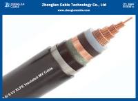 China Monoconductor 15 KV 100% SWA/STA/ XLPE Insulated Power Cable 1x50sqmm IEC60502-2 for sale
