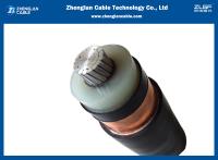 China 6-10kv Single Phase Copper Cu-Xlpe-Cts-Pvc MV Power Cable 1Cx120sqmm IEC60502-2 for sale
