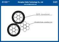 China Copper CVV 2C Electrical Control Cable 300 / 500V For IEC 60502 Type Cable for sale