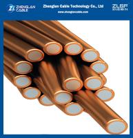 China 0.6mm 2.5mm 4mm Factory Copper Clad Steel Stranded Wire Electric Stranded Wire Copper Plated Copper Conductor for sale