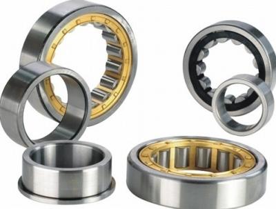 China Durable Cylindrical Roller Thrust Bearings Chrome Steel With Brass Cage NJ305ECP for sale