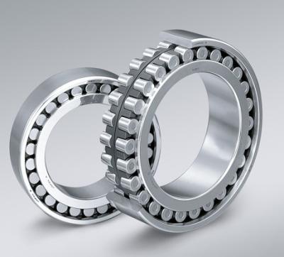 China Cylindrical Roller Bearings N1021 With Line Bearing For Unloading And Lifting Machine for sale