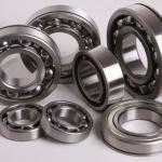 China 55mm Sealed 6411 N, 6411 Z, 6411 ZZ, 6411 2RZ, 6411 RS, 6411 2RS Deep Groove Ball Bearings for sale