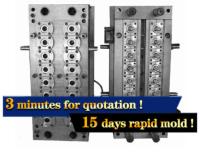 China Steamer Spray Injection Mold , Facial Mist Sprayer Injection Molding Mold for sale