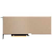 China NVIDIA Tesla H100 80G GPU Graphics Card for PC Server Outputs PCI Express 4.0 x16 for sale