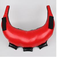 China Weight Bearing Fitness Training Bulgarian Power Bag 4KGS To 30KGS for sale