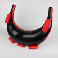 China Weight Bearing Fitness Training Bulgarian Power Bag 4KGS To 30KGS for sale