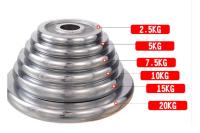 China Silver Chrome Fitness Weight Plates 1kgs To 20kgs Cast Iron Dumbbell Plate for sale