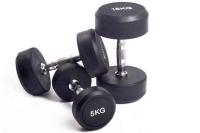China Eco Friendly Home Gym Fitness Dumbbells Round Rubber Coated Dumbbells 5kg 10kg for sale