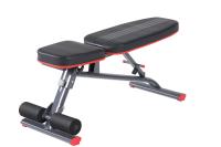 China Foldable Weight Ergonomic Dumbbell Bench Workout Adjustable For Training for sale